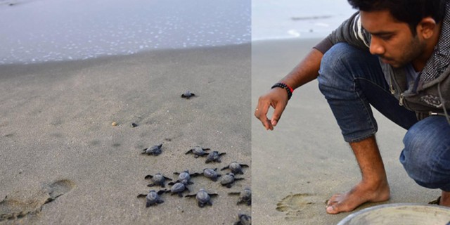 First-Release – EnvironmentMove.earth